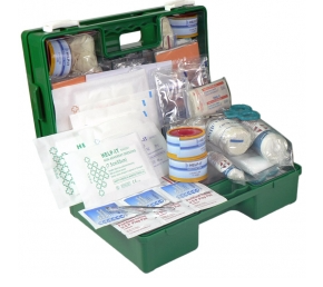 Green Wall Mountable First Aid Kit | Respiratory, First Aid, and ...