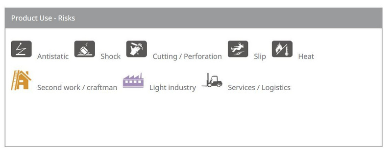 Delta Plus Safety Shoe | Safety Boots & Shoes | TMC Ltd | Traffic ...